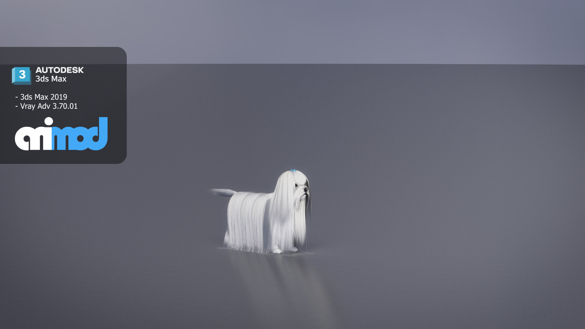 Maltese Animal - 3D Model by animod
