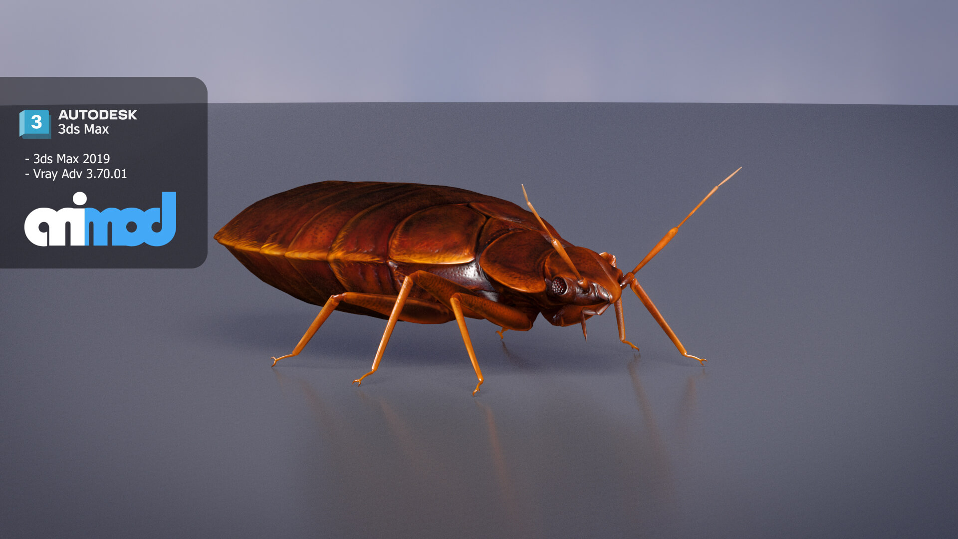 Mites Insects - 3D Model by animod