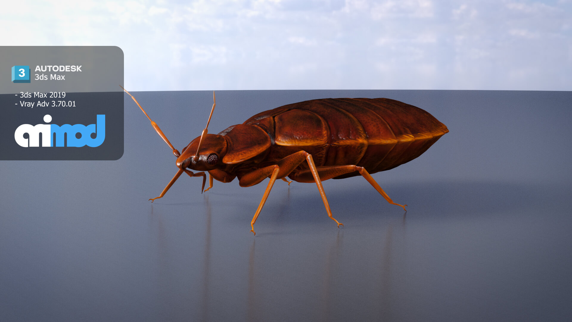 Mites Insects - 3D Model by animod