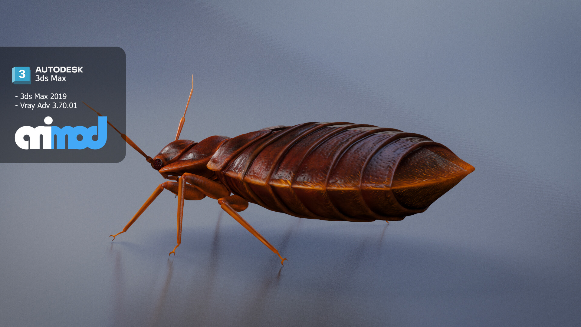 Mites Insects - 3D Model by animod