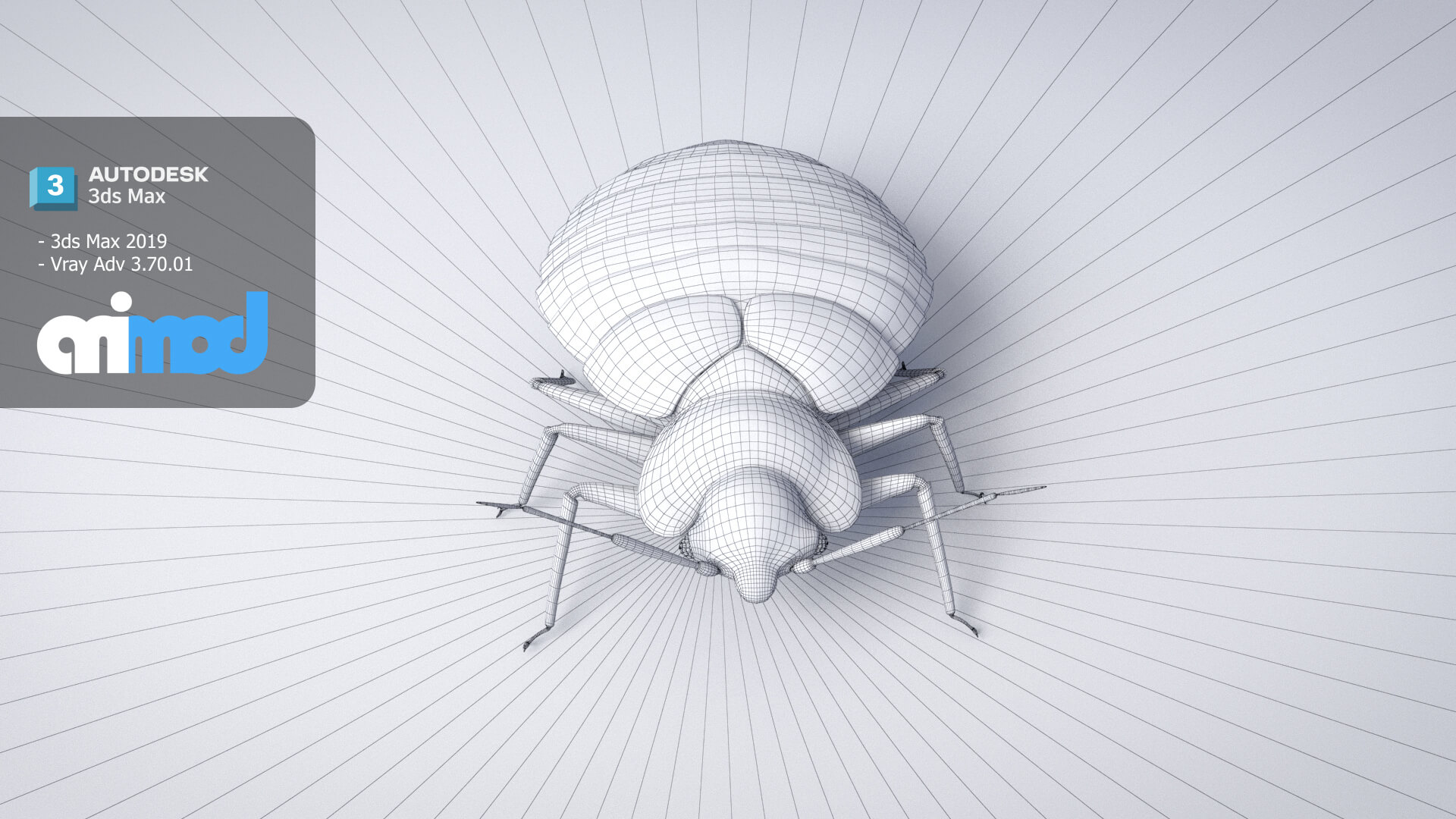 Mites Insects - 3D Model by animod