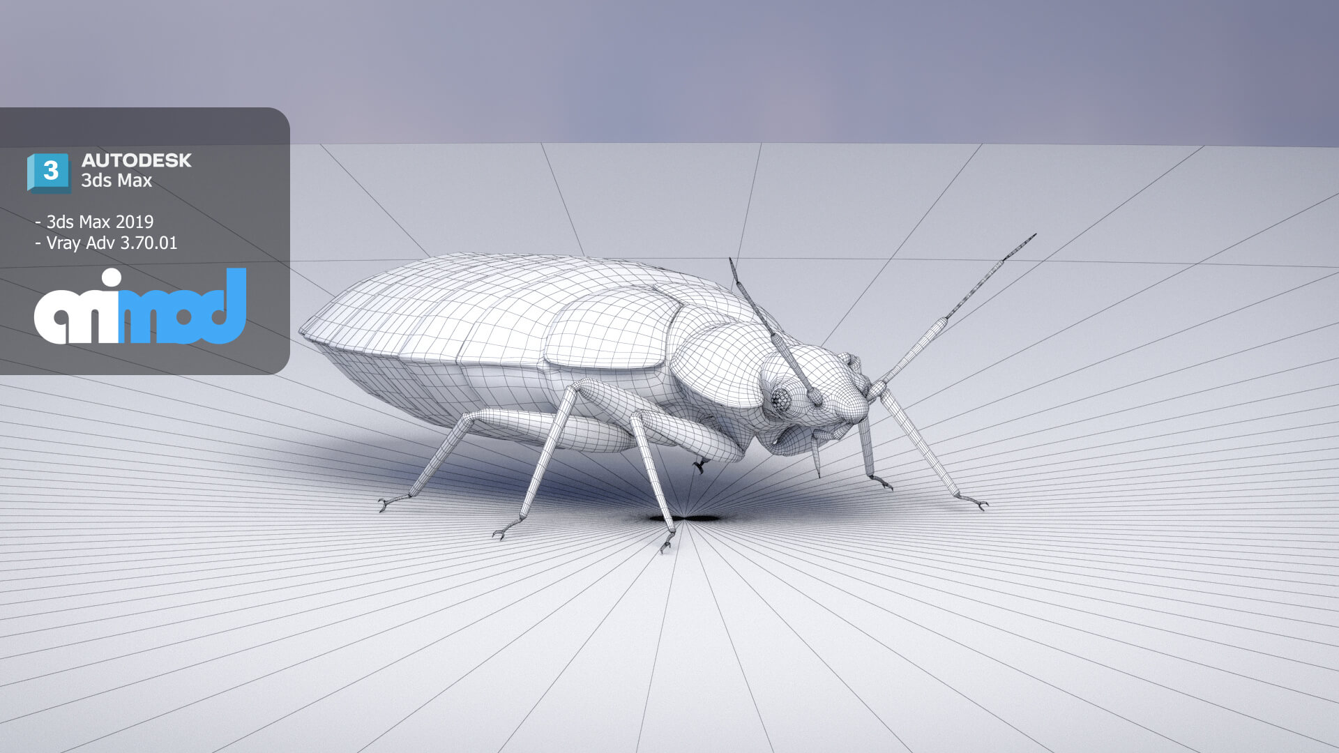 Mites Insects - 3D Model by animod