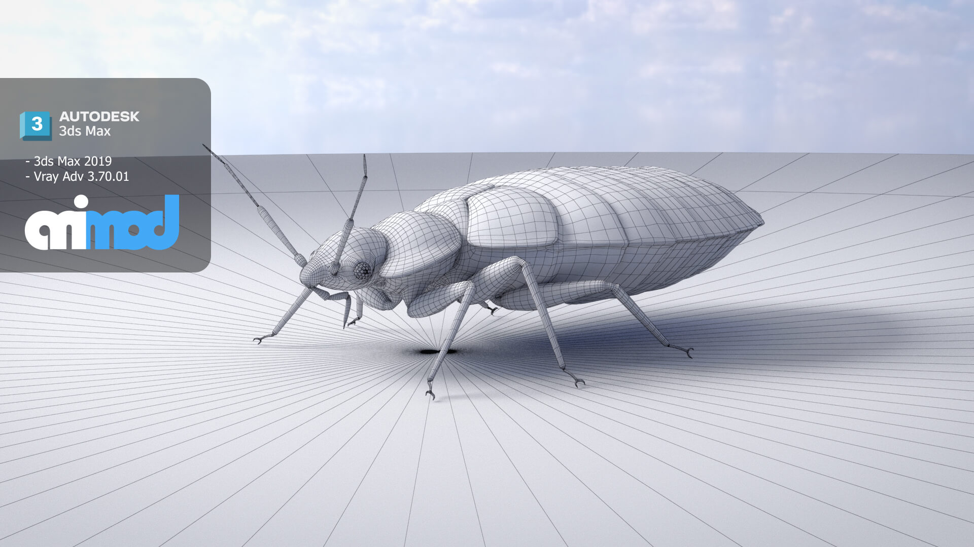 Mites Insects - 3D Model by animod