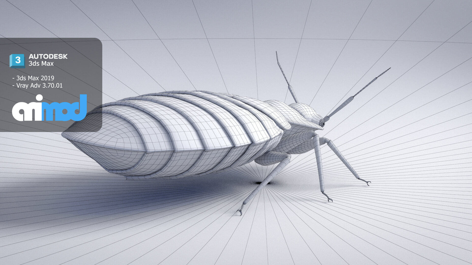 Mites Insects - 3D Model by animod