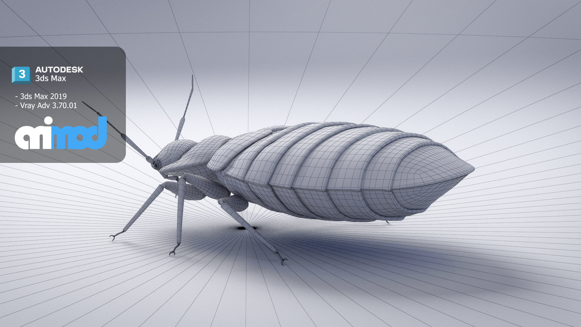 Mites Insects - 3D Model by animod