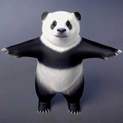 A Panda Bear - 3D Model by animod