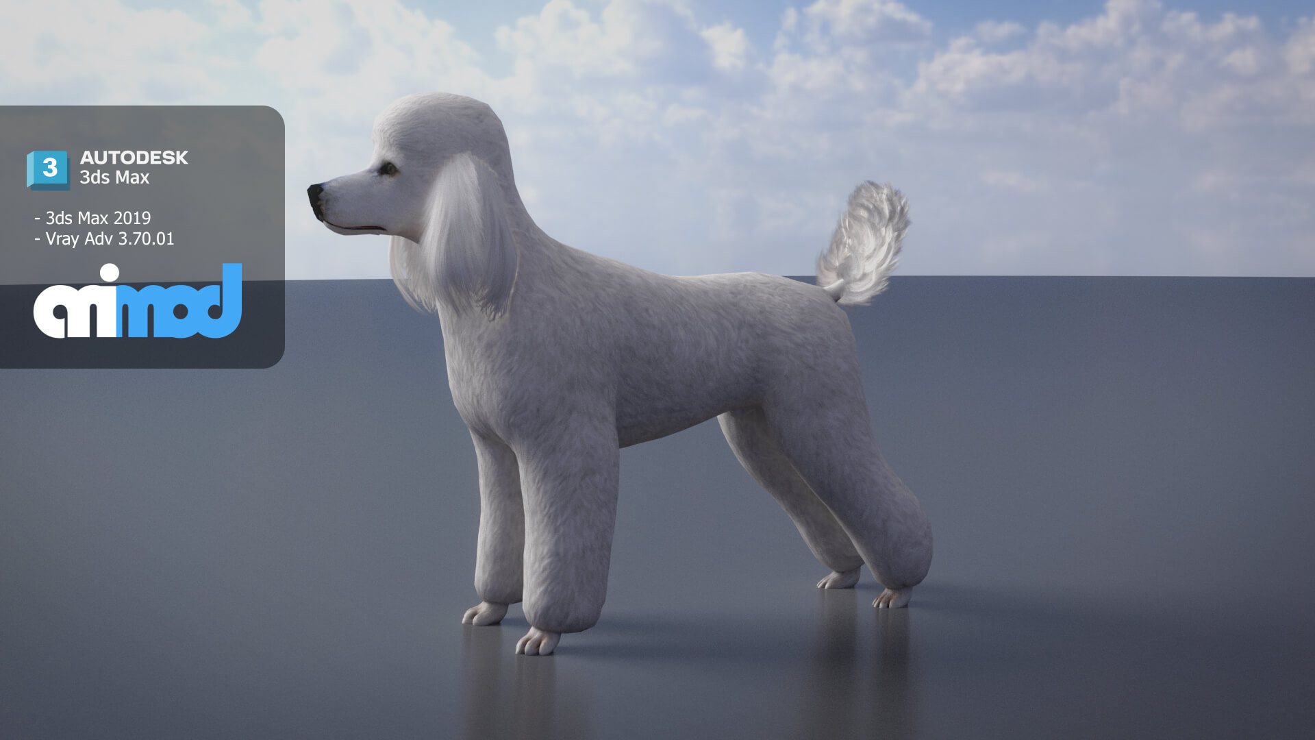 Poodle Dog Big - 3D Model by animod