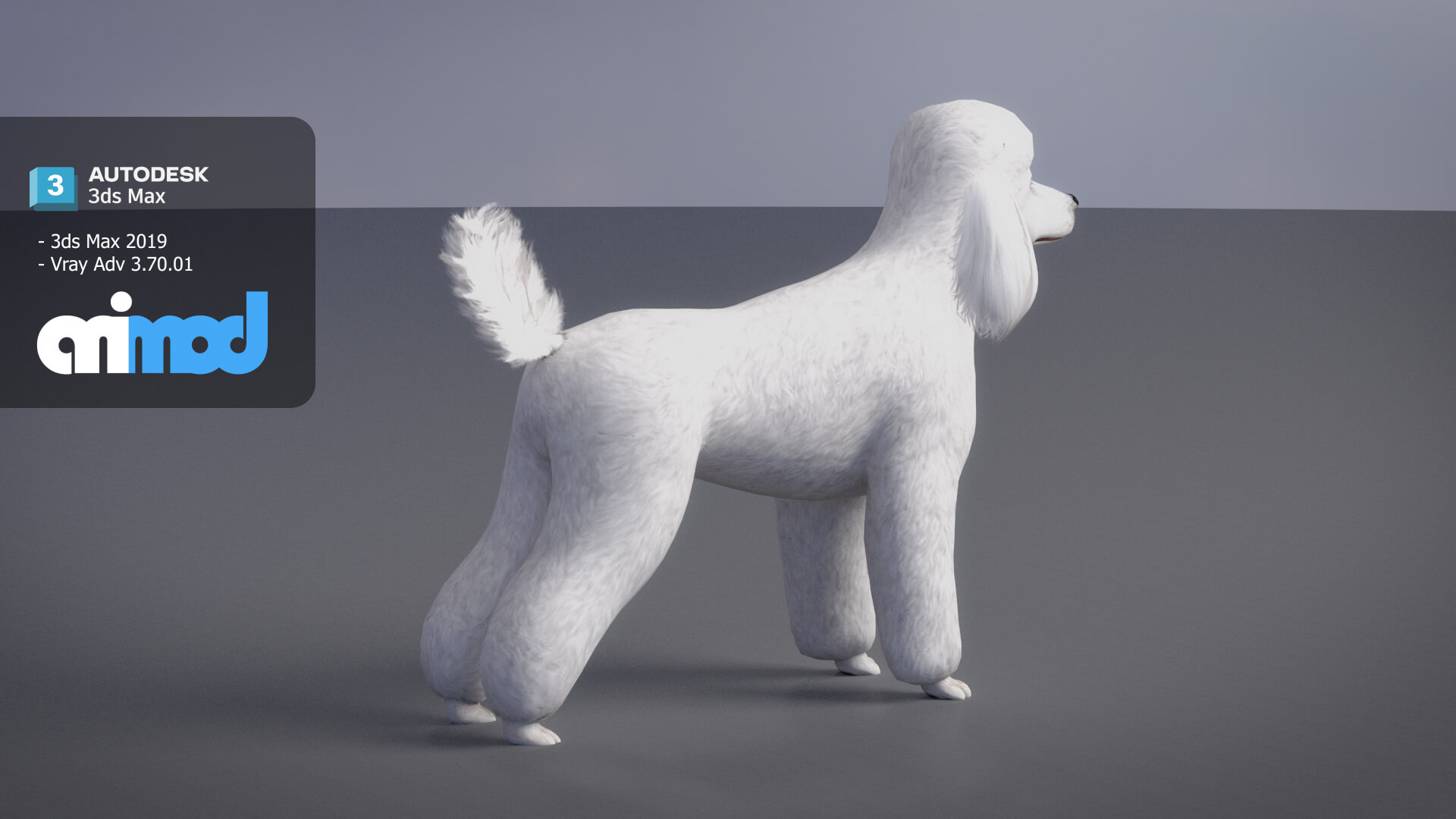 Poodle Dog Big - 3D Model by animod