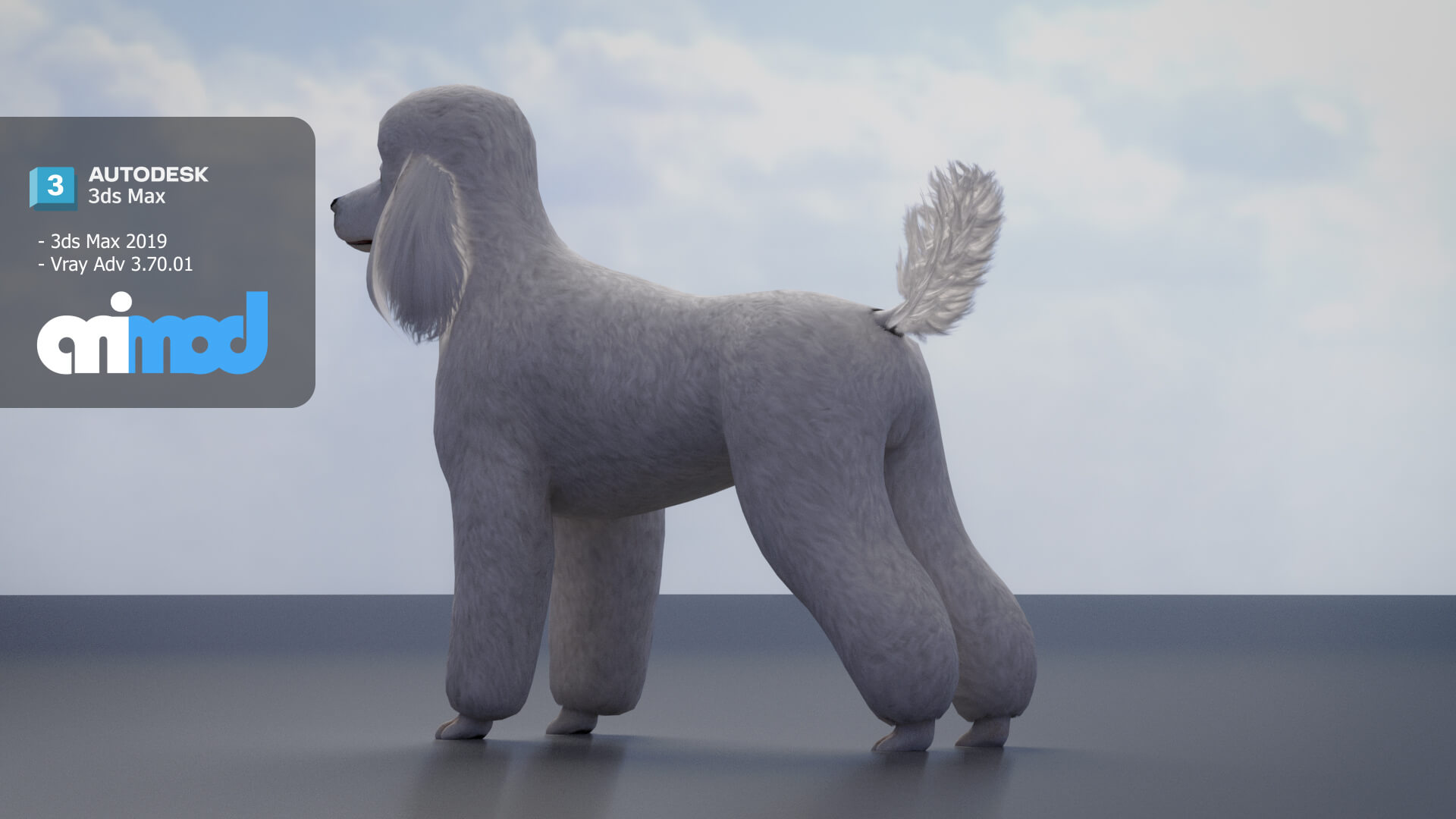 Poodle Dog Big - 3D Model by animod