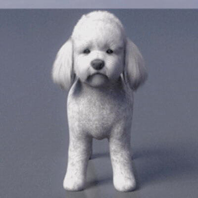 Poodle Dog Small - 3D Model by animod