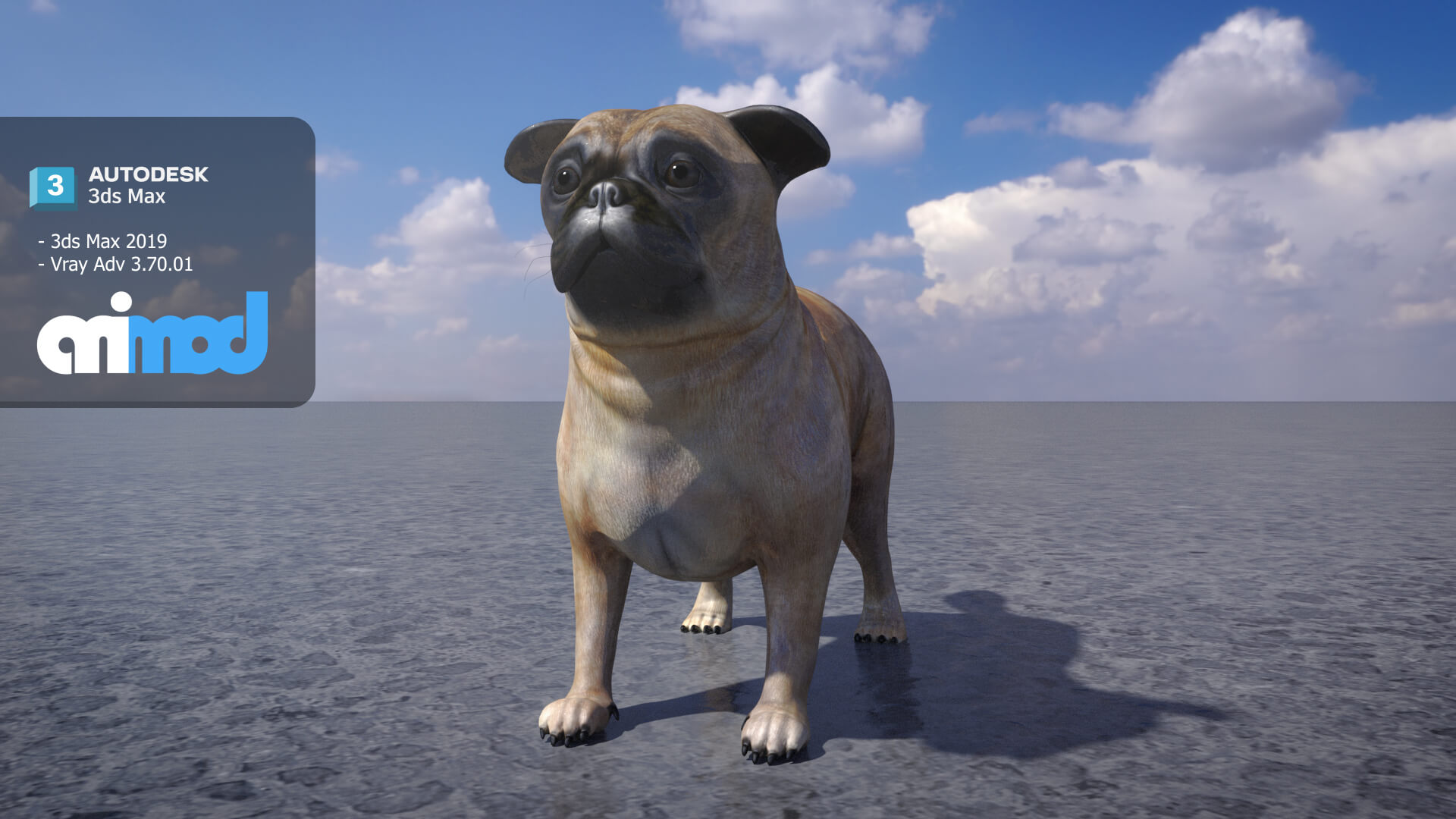 Pug Dog Animal - 3D Model by animod
