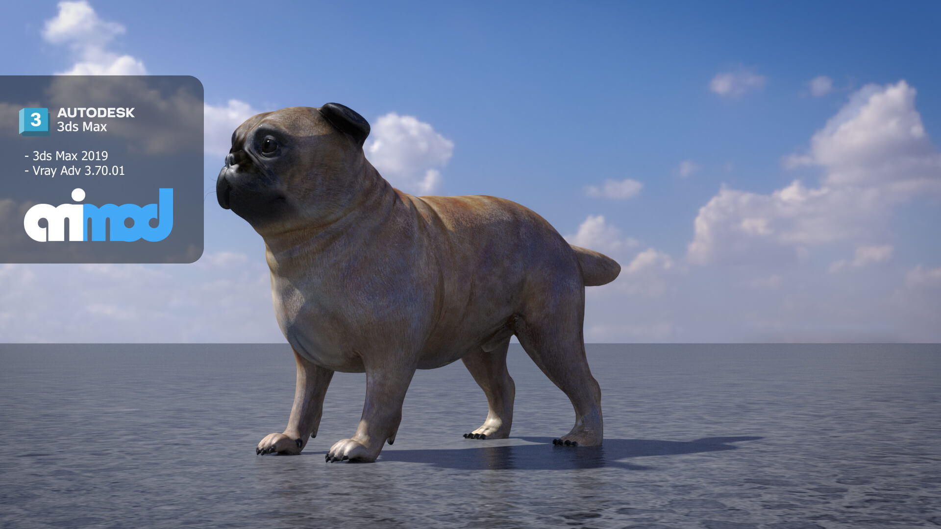 Pug Dog Animal - 3D Model by animod