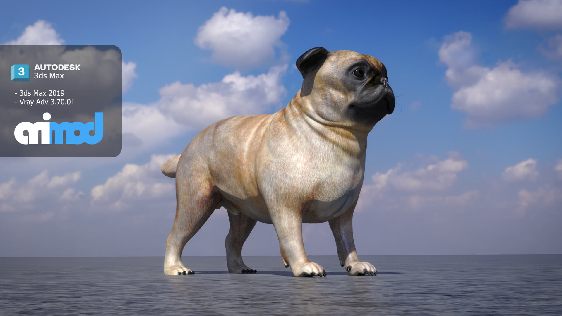 Pug Dog Animal - 3D Model by animod