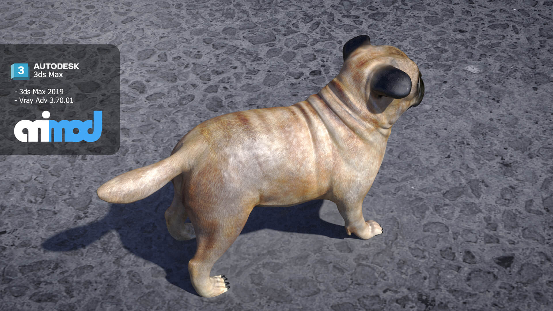 Pug Dog Animal - 3D Model by animod