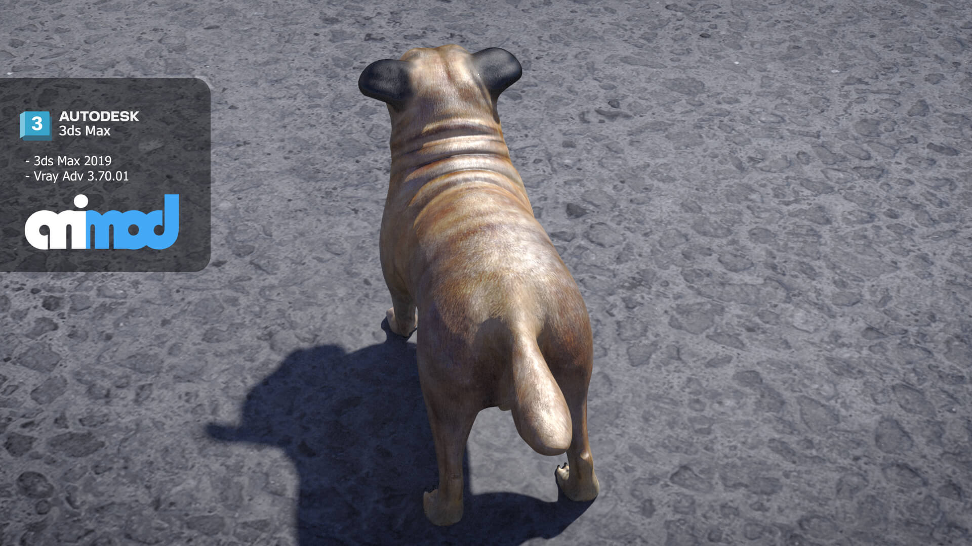 Pug Dog Animal - 3D Model by animod