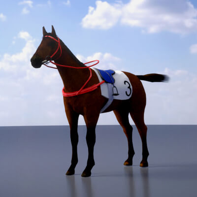 Racing Horse - 3D Model by animod