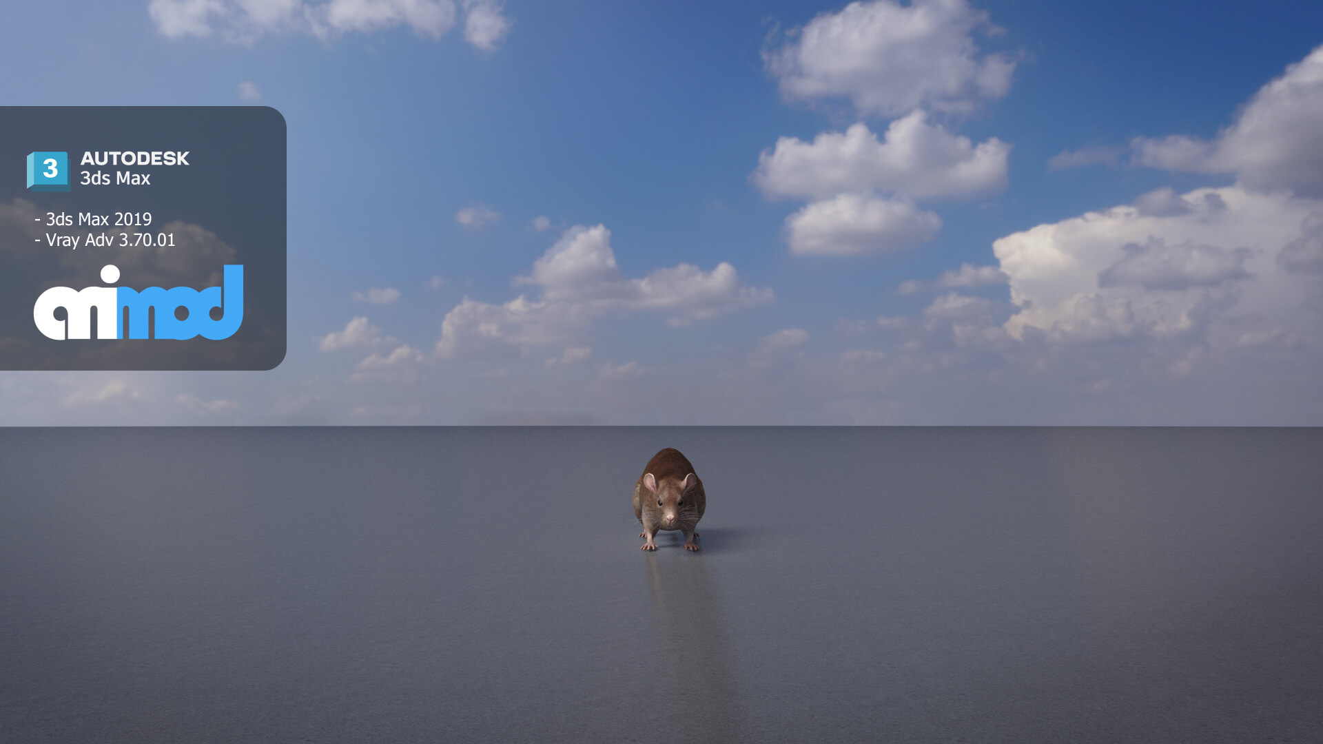 Rat Animal Mice - 3D Model by animod