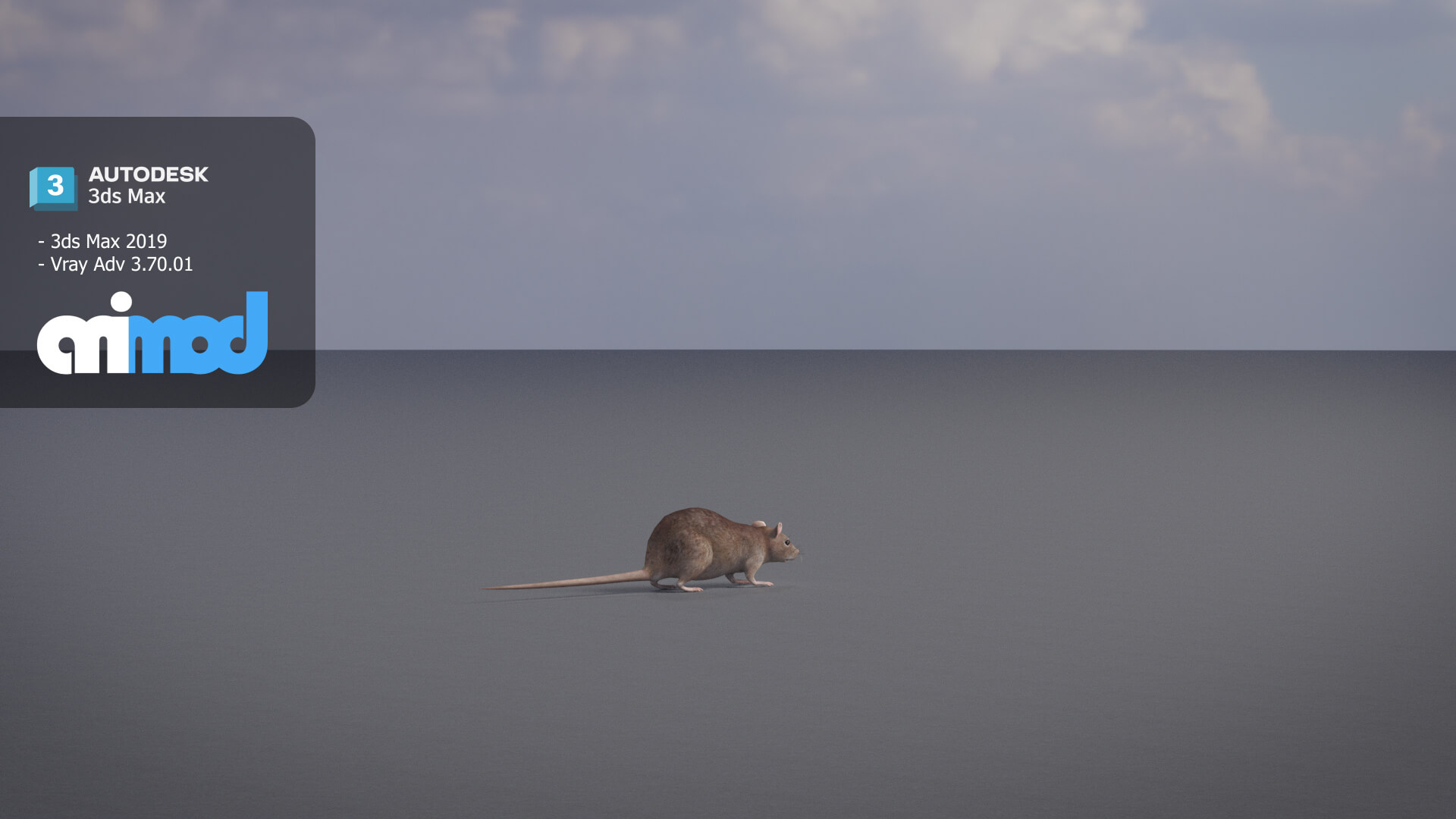 Rat Animal Mice - 3D Model by animod