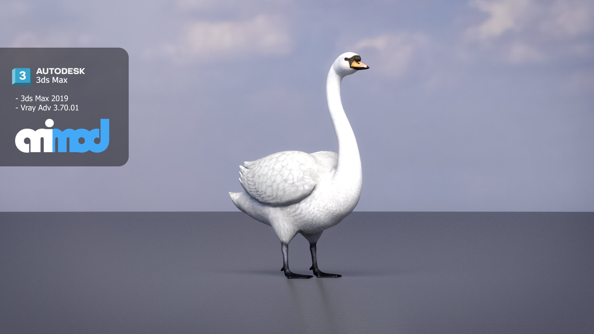 Rigged White Swan - 3D Model by animod