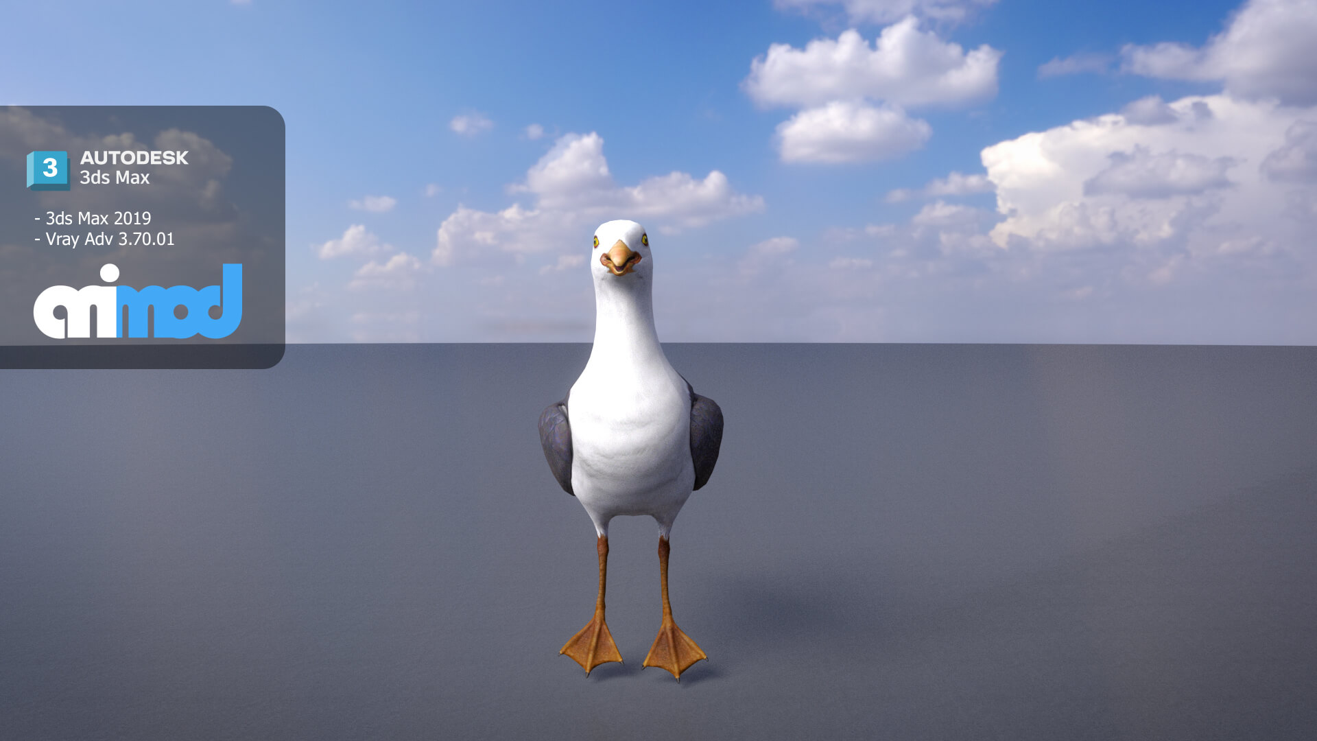 Sea Gull Animal - 3D Model by animod