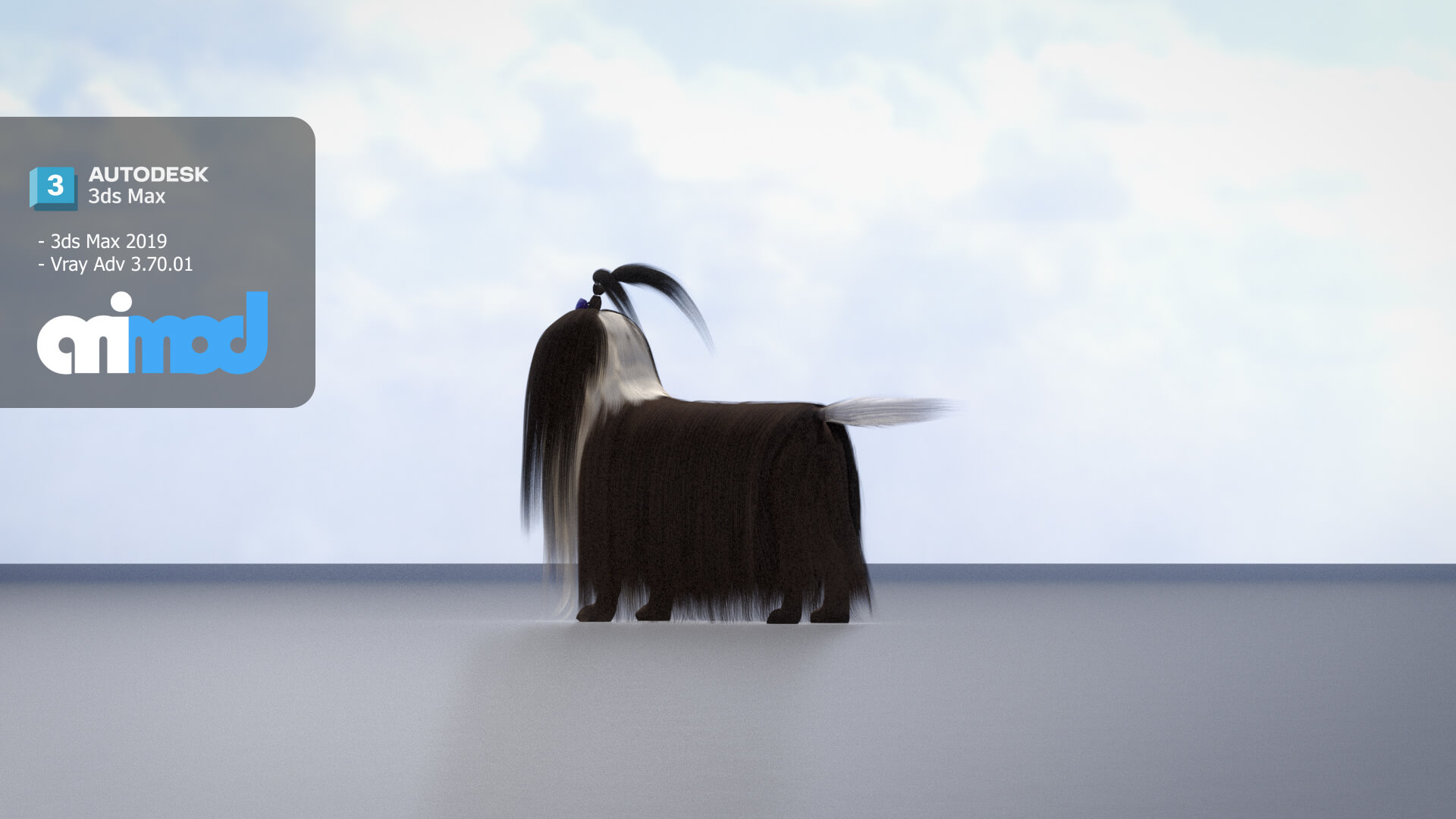 Shih Tzu Dog - 3D Model by animod