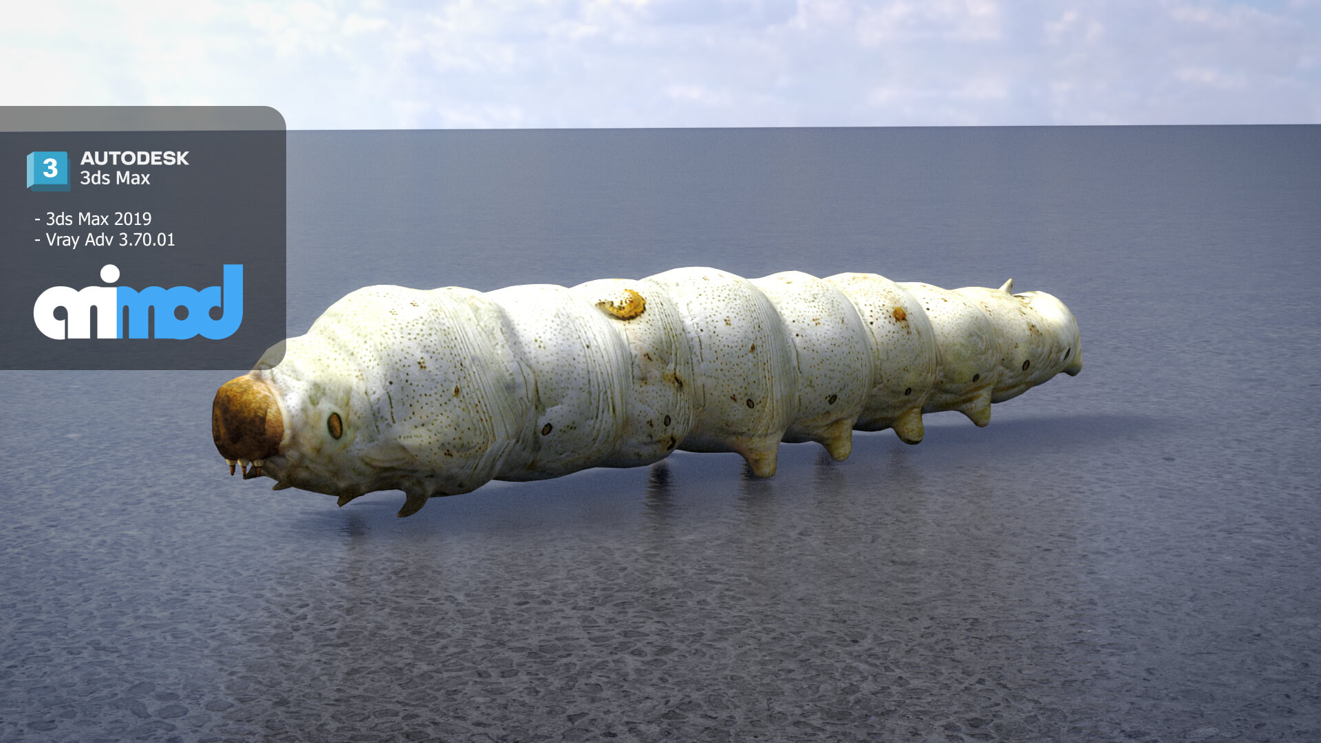 Silkworm Insect - 3D Model by animod