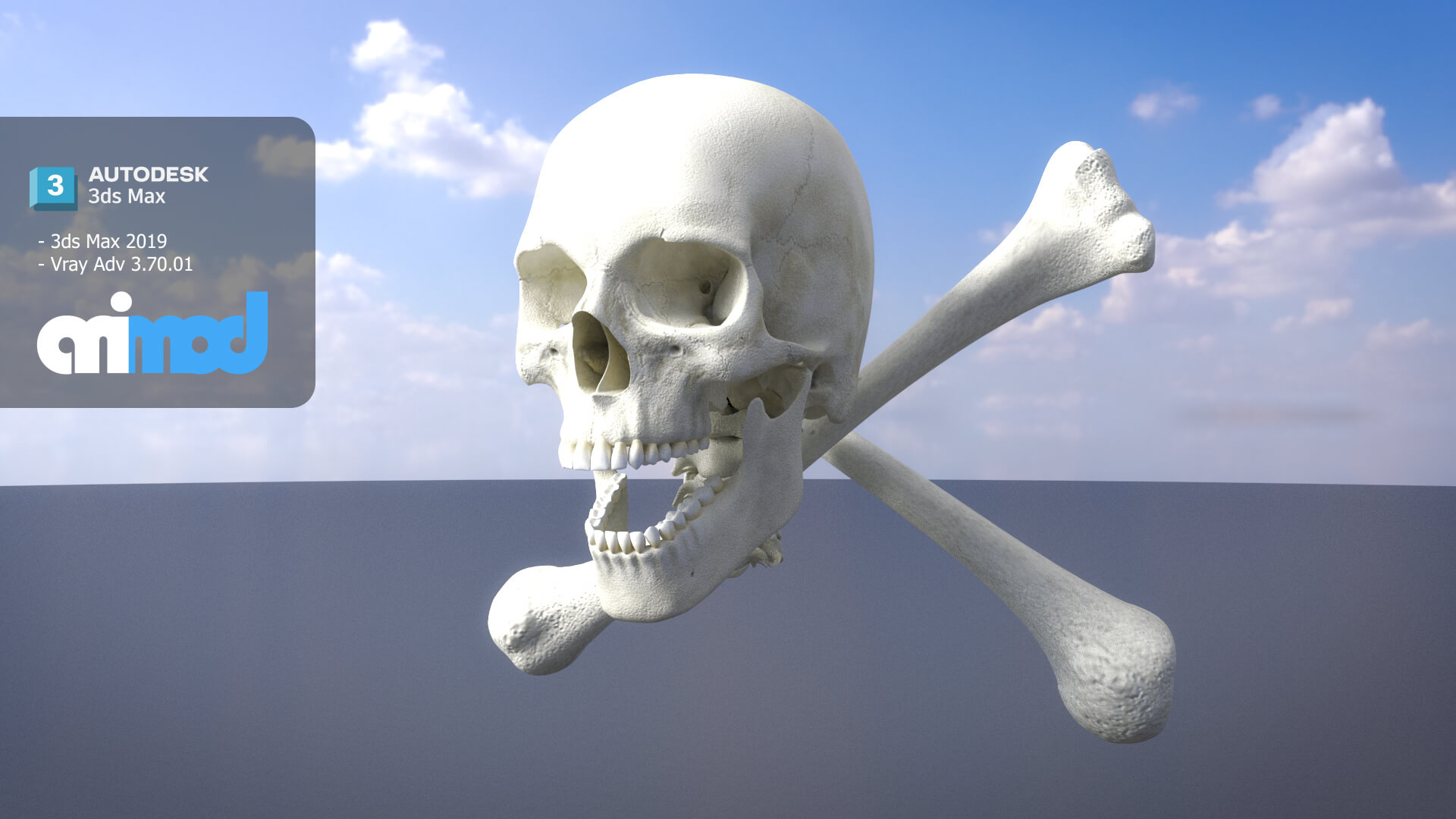 Skull Cross Bones - 3D Model by animod