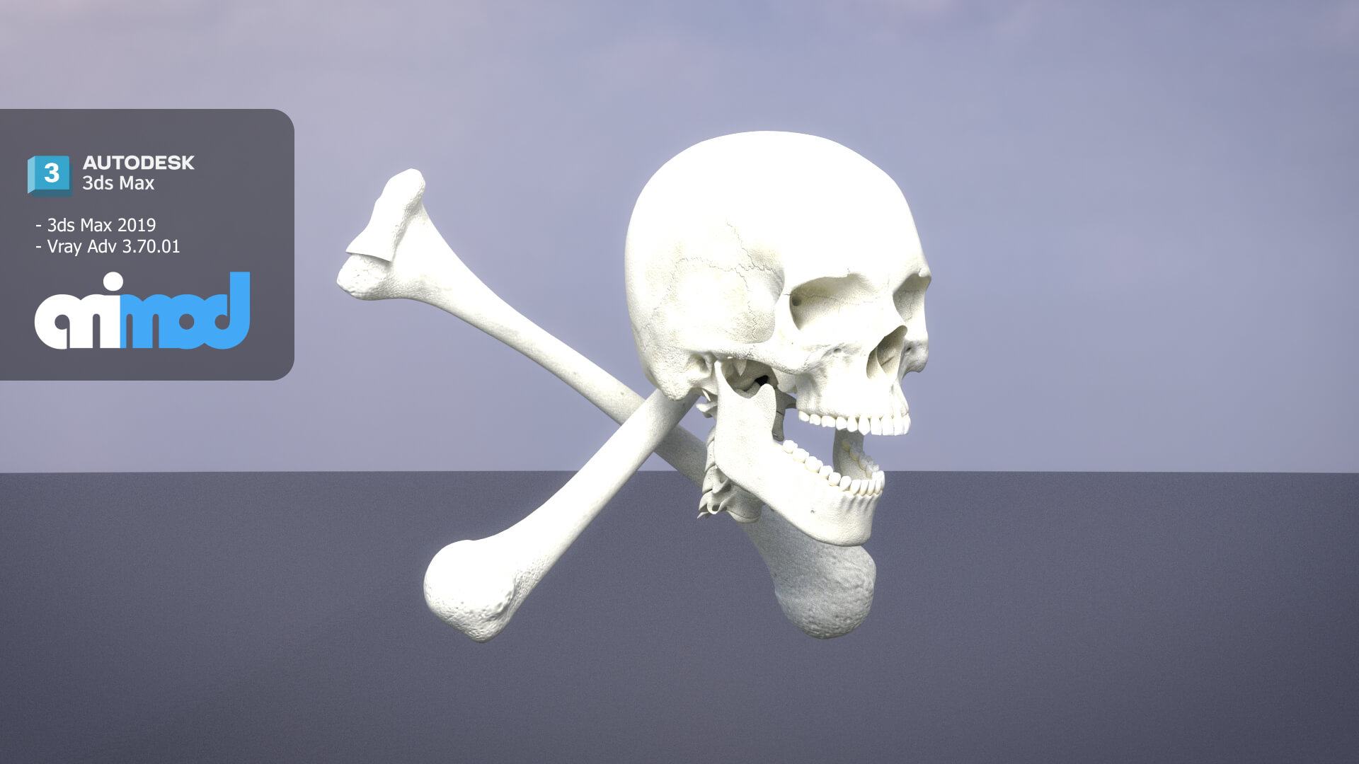 Skull Cross Bones - 3D Model by animod