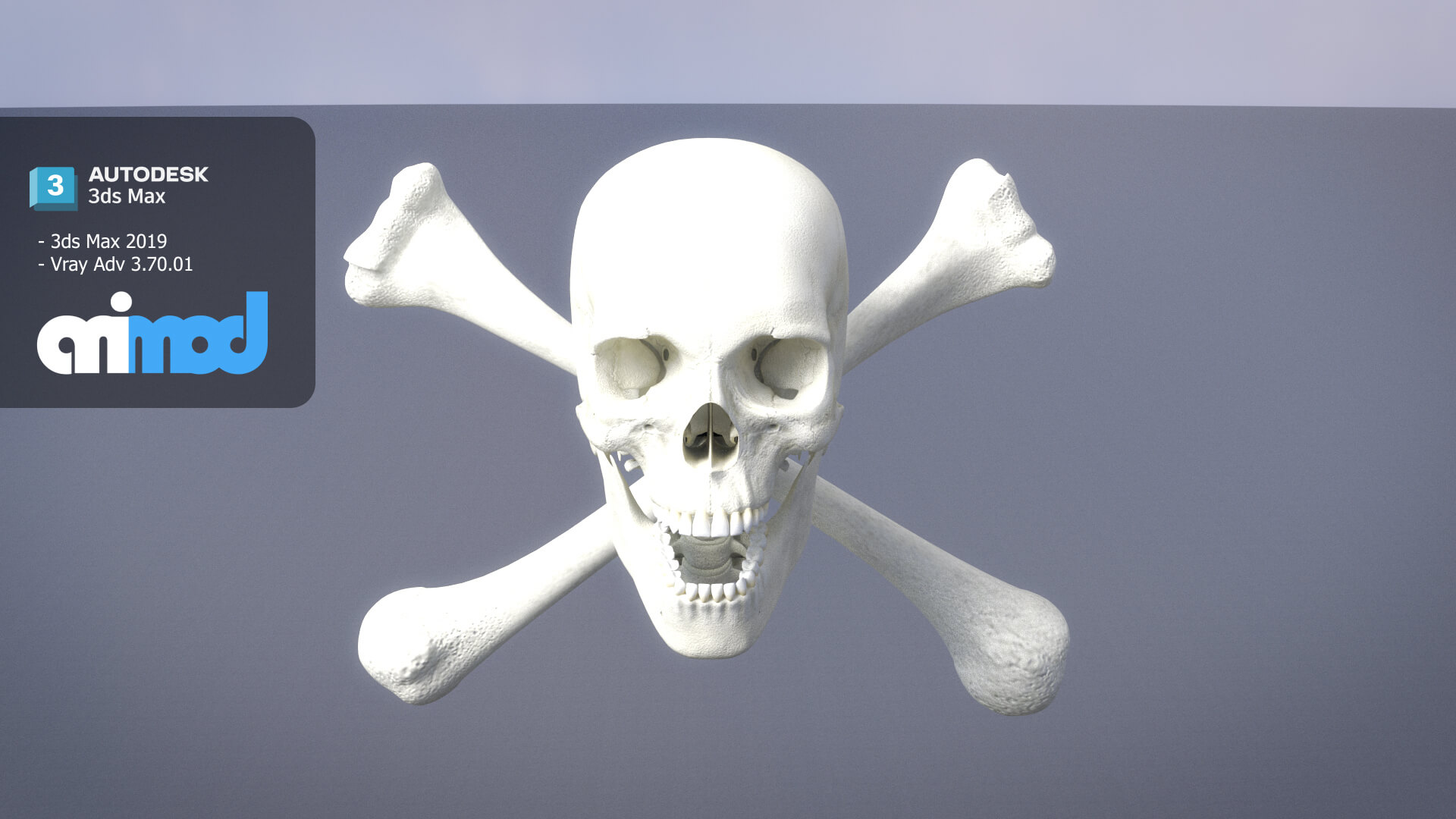 Skull Cross Bones - 3D Model by animod