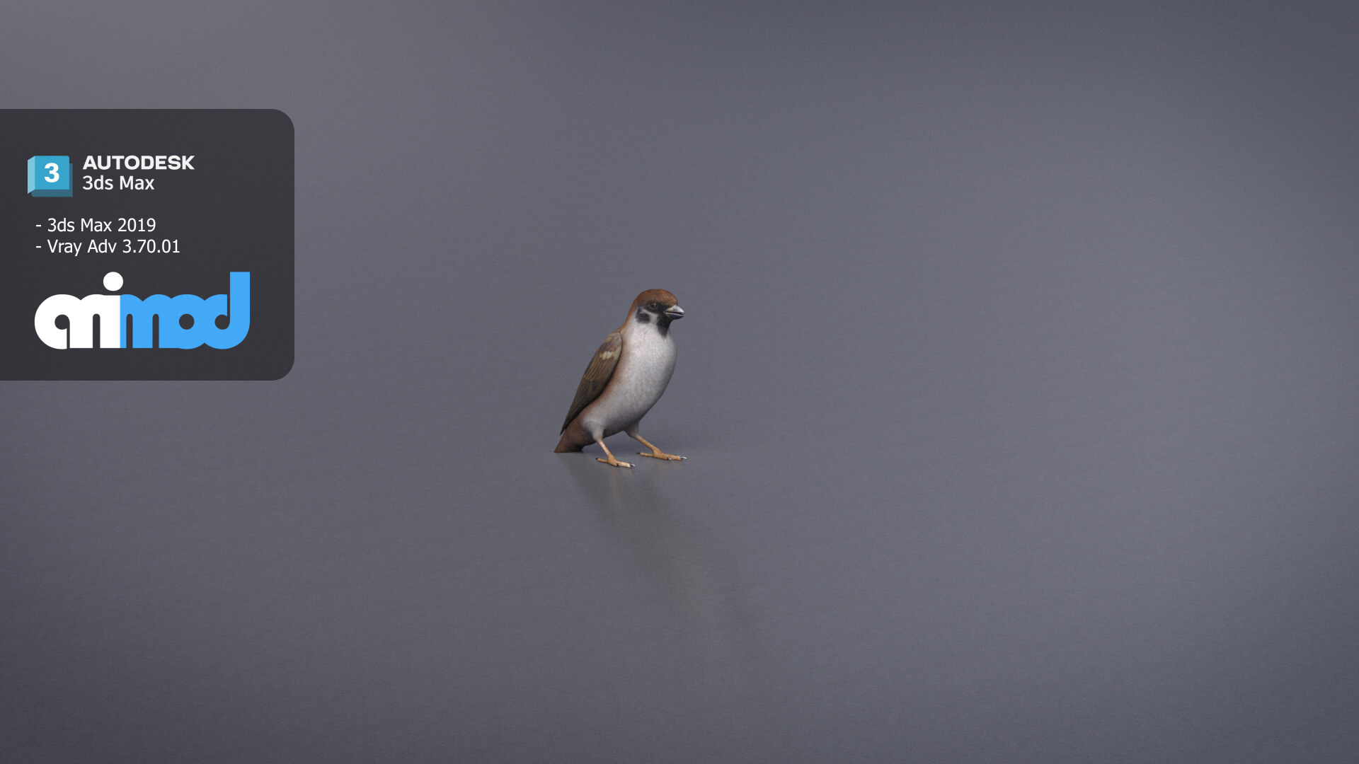 Sparrow Bird 001 - 3D Model by animod