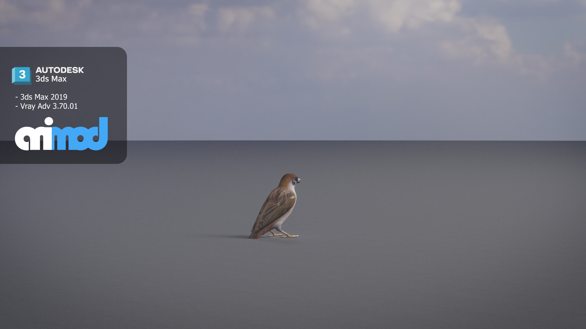 Sparrow Bird 001 - 3D Model by animod