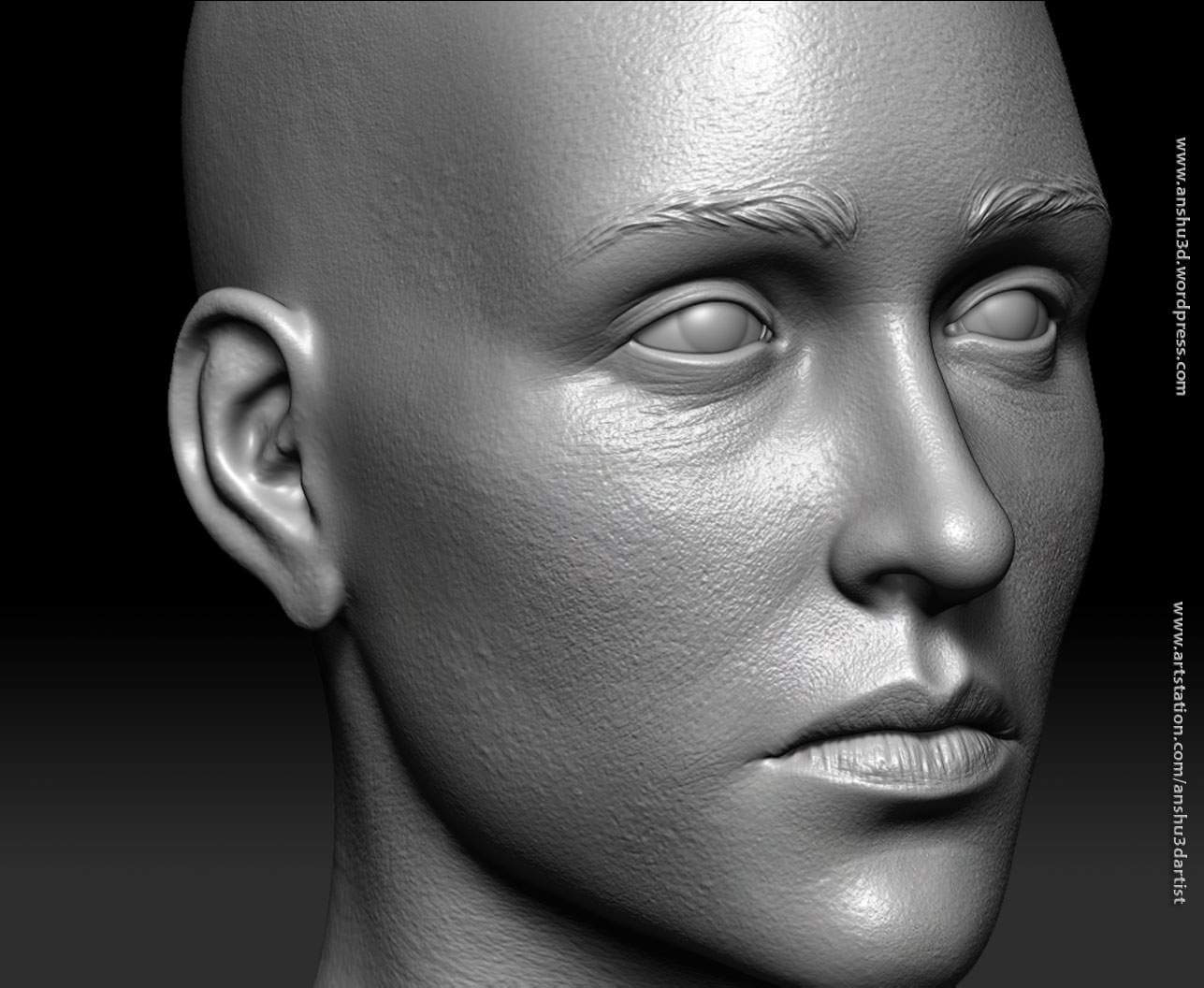 Head 3d Model Free