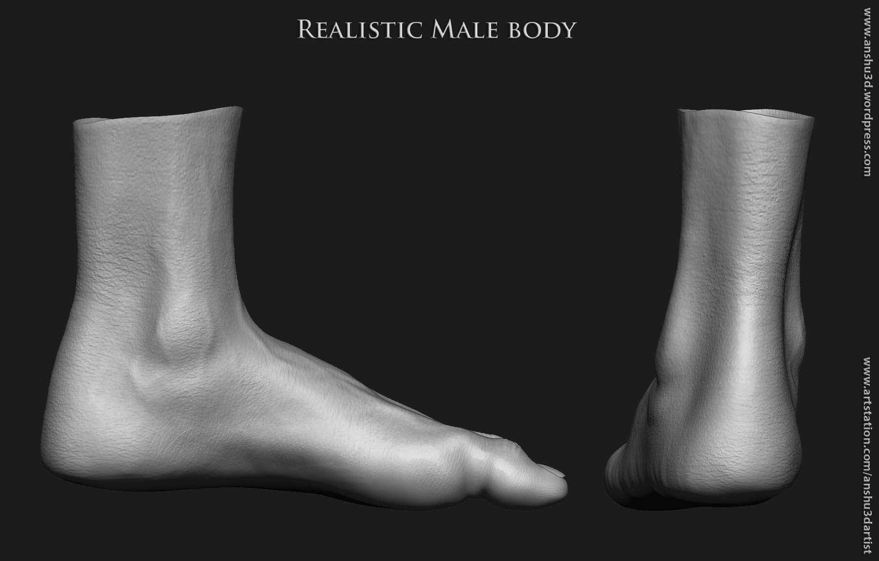 Realistic Human Male Body - 3D Model by anshu3dartist