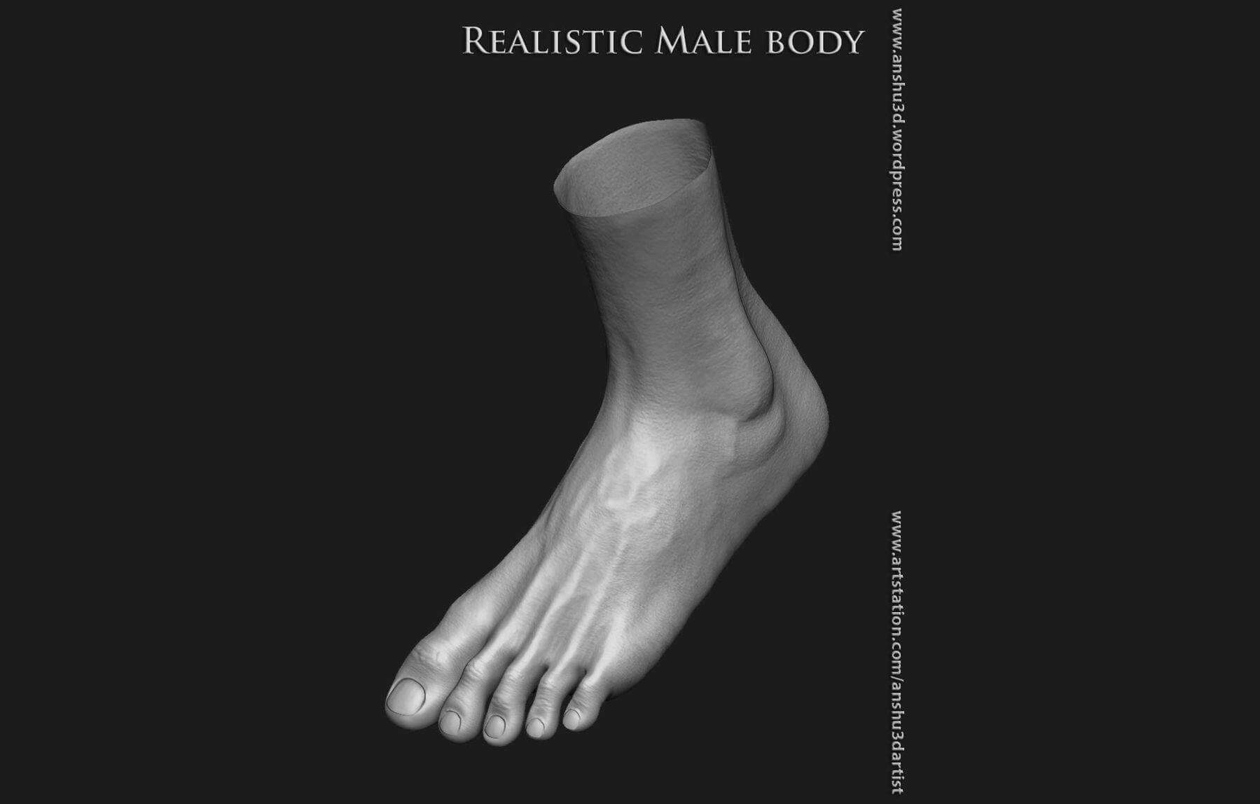 Realistic Human Male Body - 3D Model by anshu3dartist
