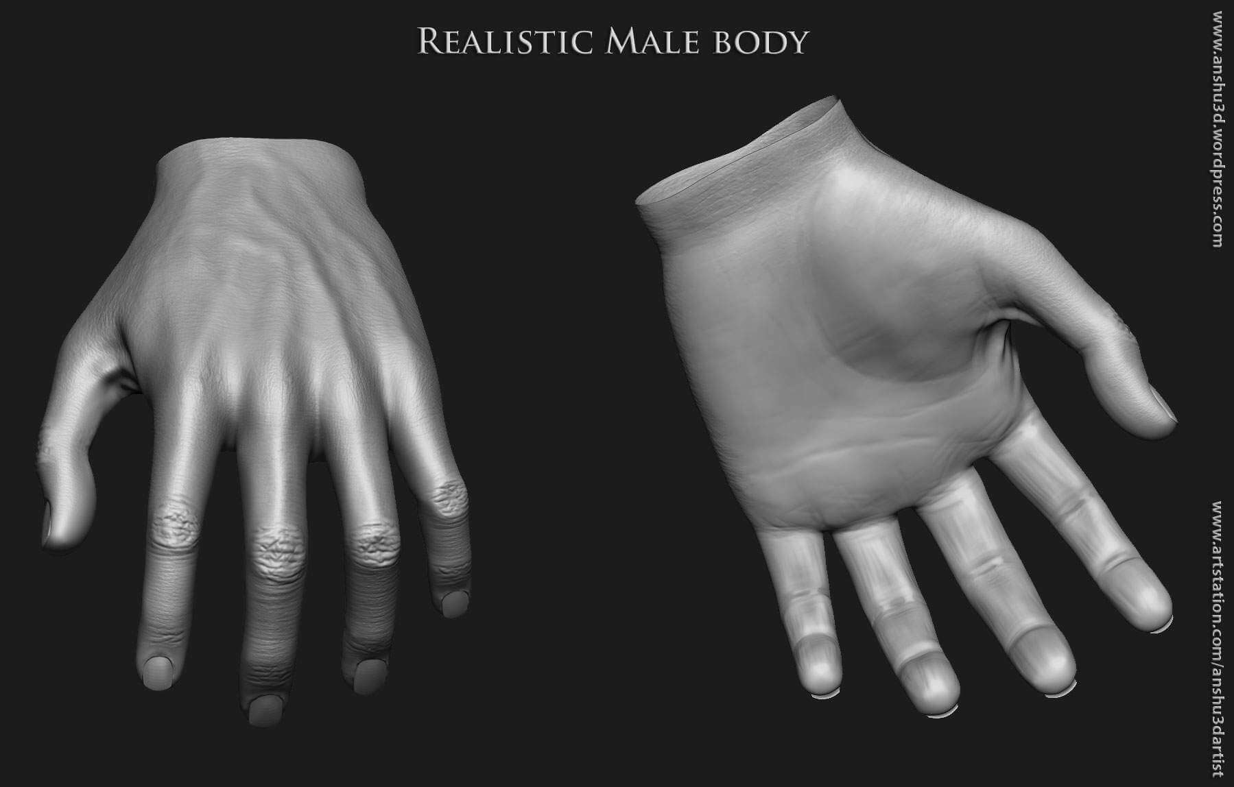 Realistic Human Male Body - 3D Model by anshu3dartist