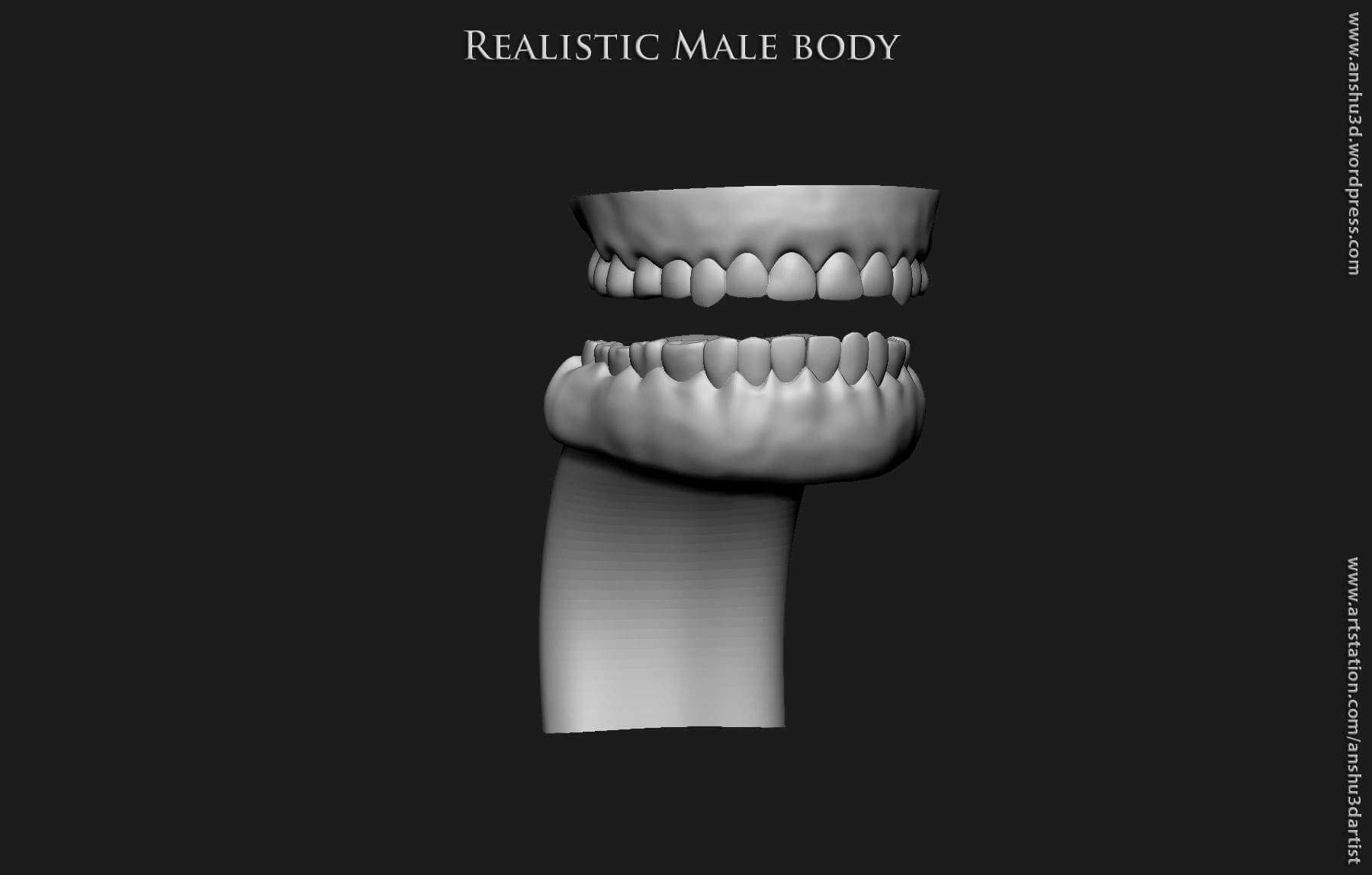 Realistic Human Male Body - 3D Model by anshu3dartist