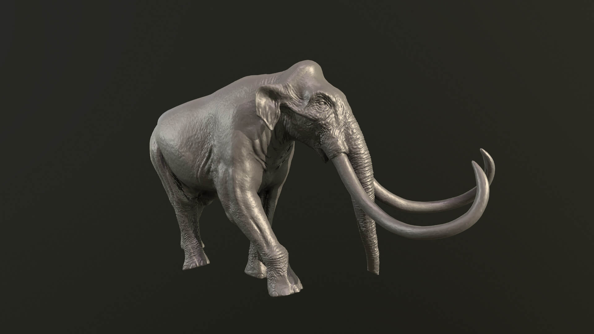 Collection of 10 Extinct Elephantoid Proboscidean - 3D Model by Anthodon