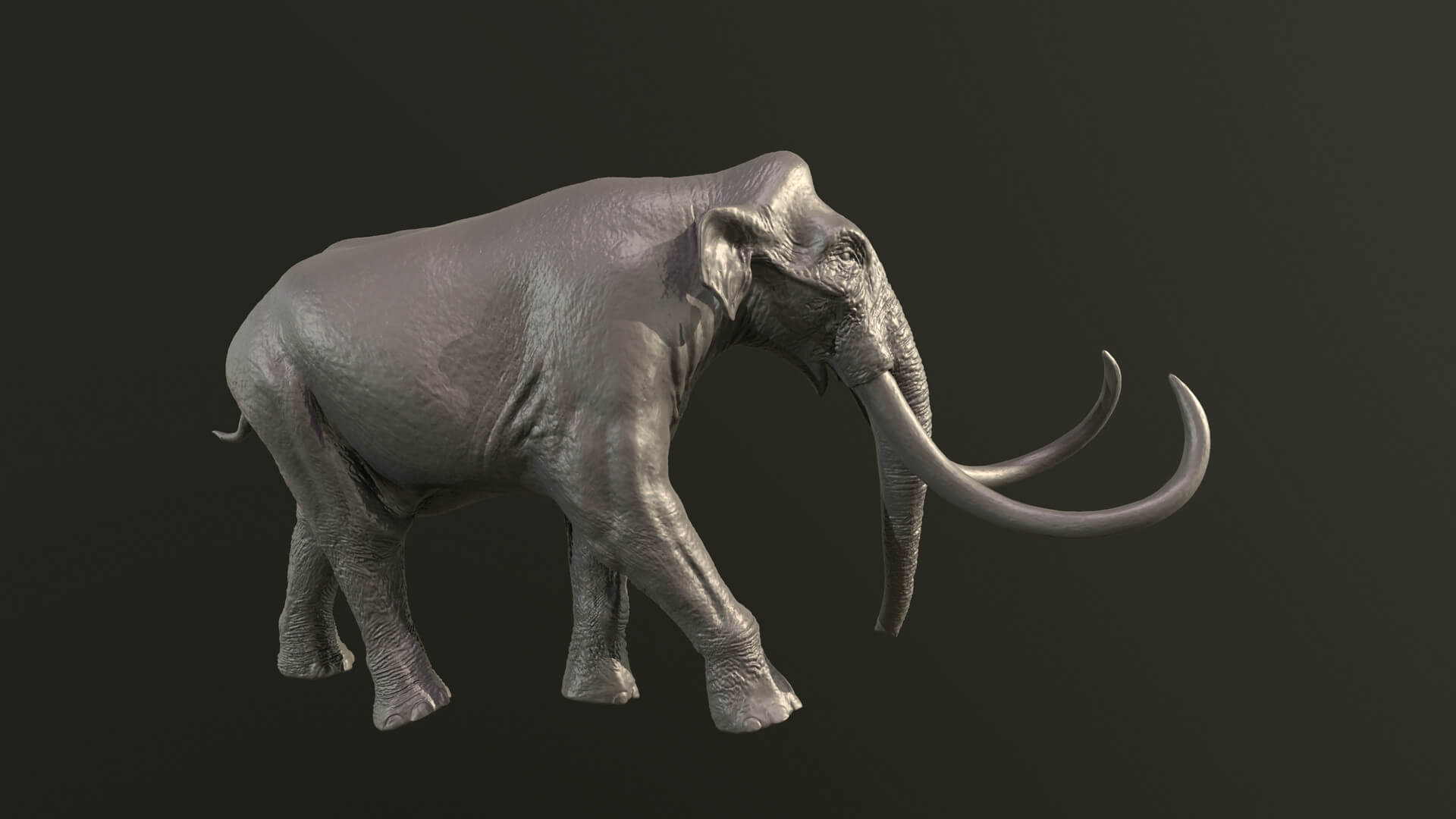 Collection of 10 Extinct Elephantoid Proboscidean - 3D Model by Anthodon
