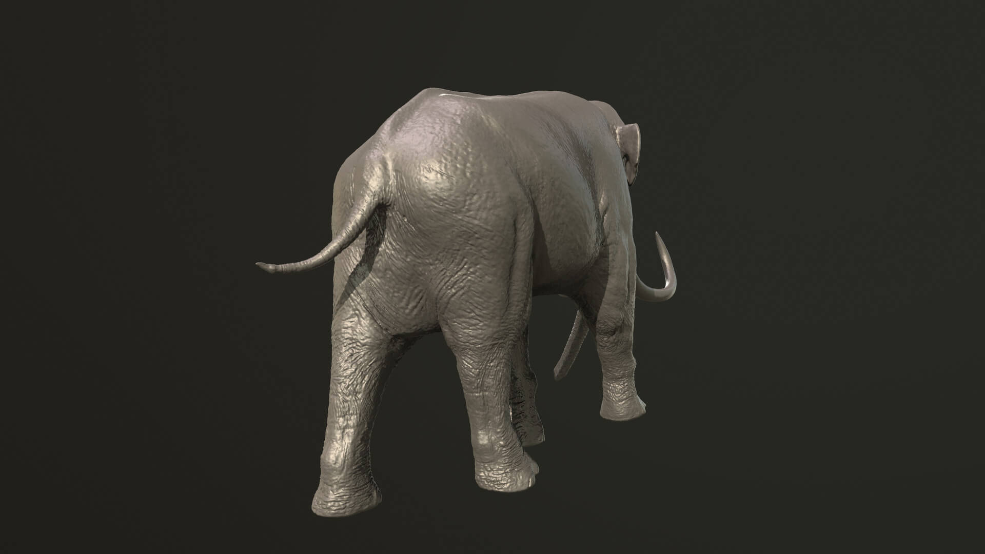 Collection of 10 Extinct Elephantoid Proboscidean - 3D Model by Anthodon