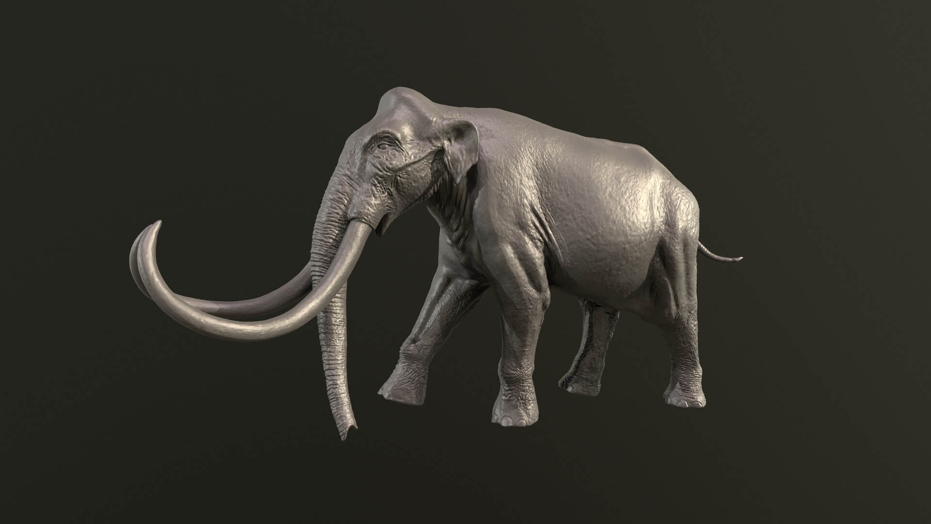 Collection of 10 Extinct Elephantoid Proboscidean - 3D Model by Anthodon