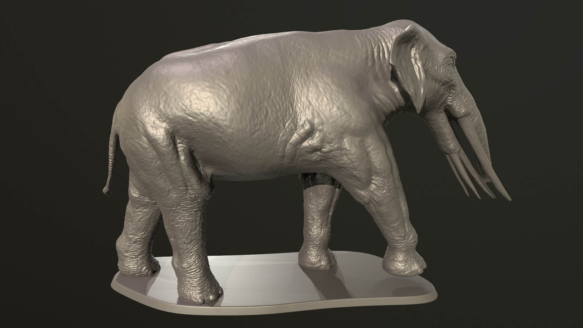 Collection of 10 Extinct Elephantoid Proboscidean - 3D Model by Anthodon