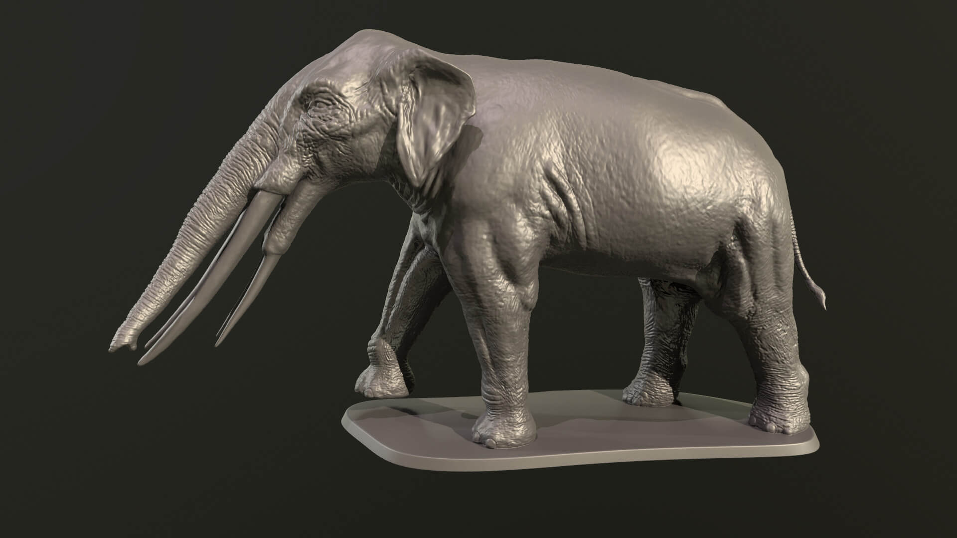 Collection of 10 Extinct Elephantoid Proboscidean - 3D Model by Anthodon