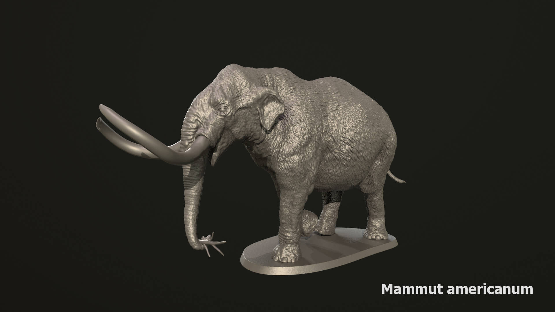 Collection of 10 Extinct Elephantoid Proboscidean - 3D Model by Anthodon