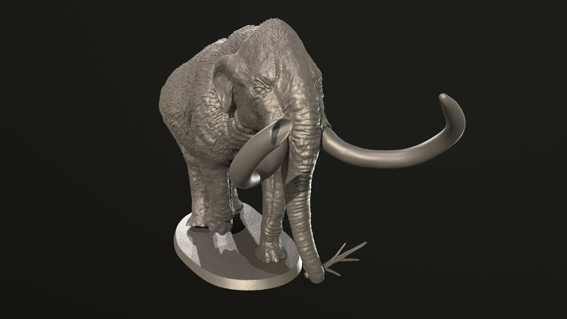 Collection of 10 Extinct Elephantoid Proboscidean - 3D Model by Anthodon
