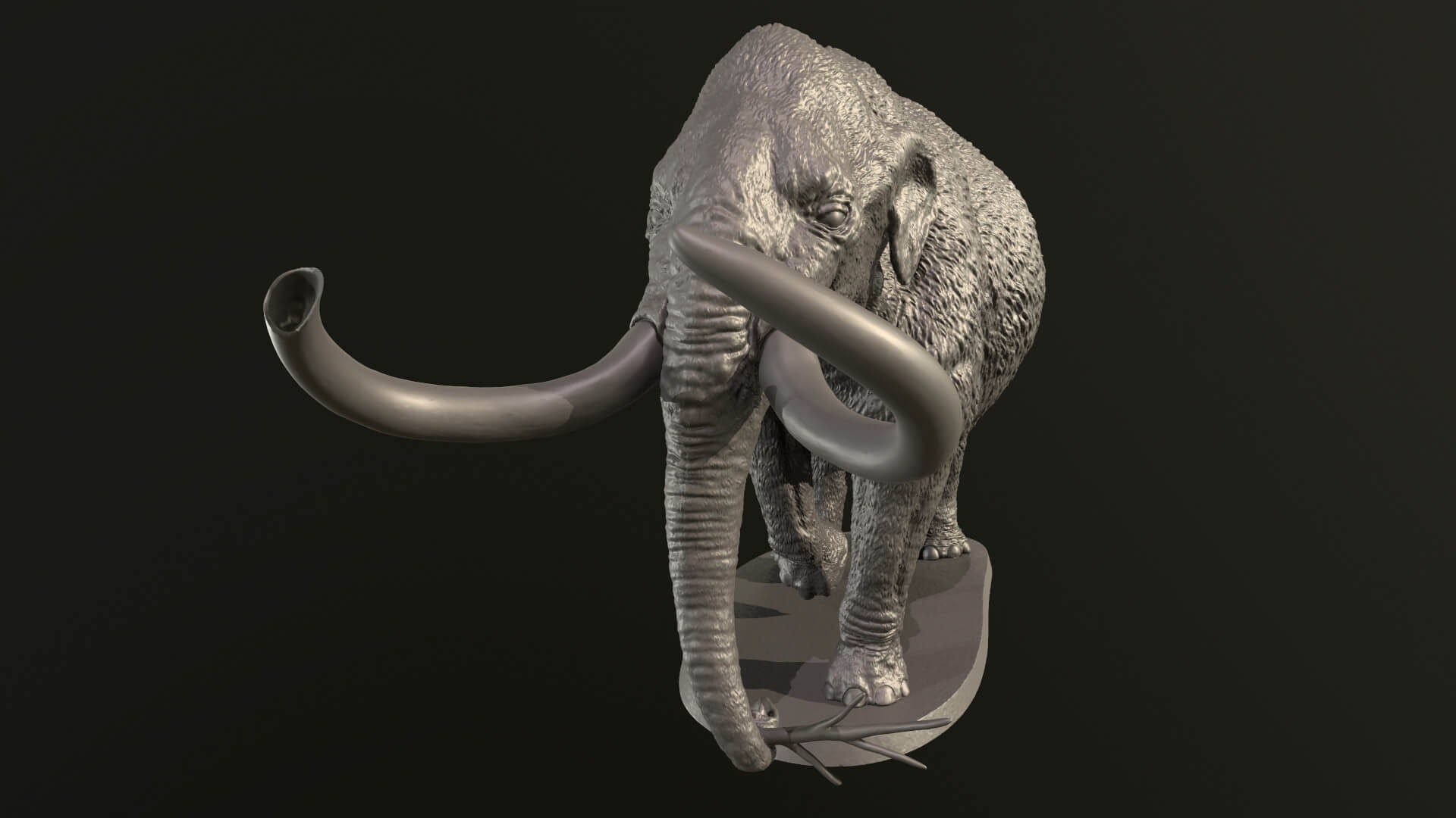 Collection of 10 Extinct Elephantoid Proboscidean - 3D Model by Anthodon