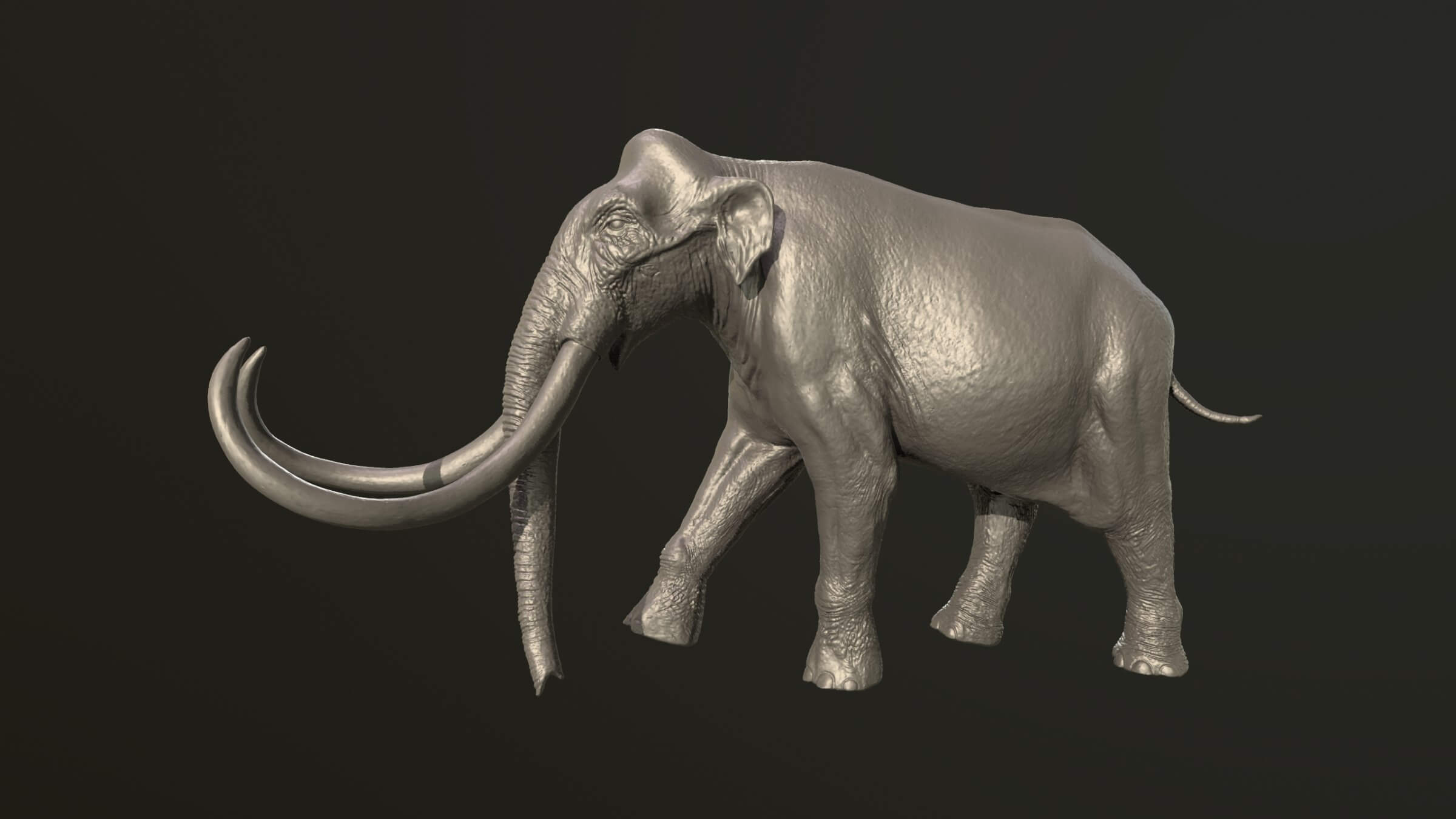 Columbian Mammoth - 3D Model by Anthodon