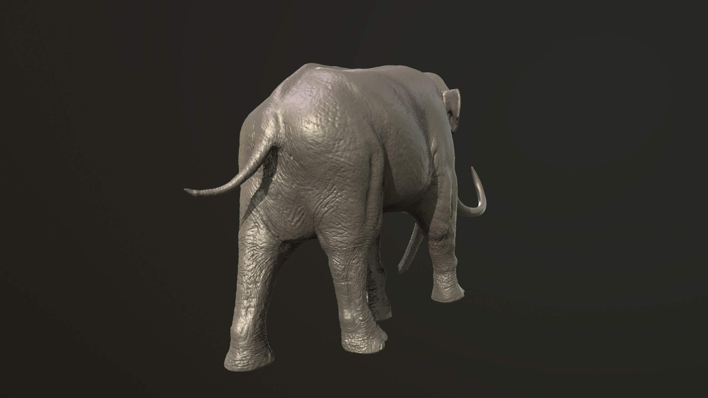 Columbian Mammoth - 3D Model by Anthodon