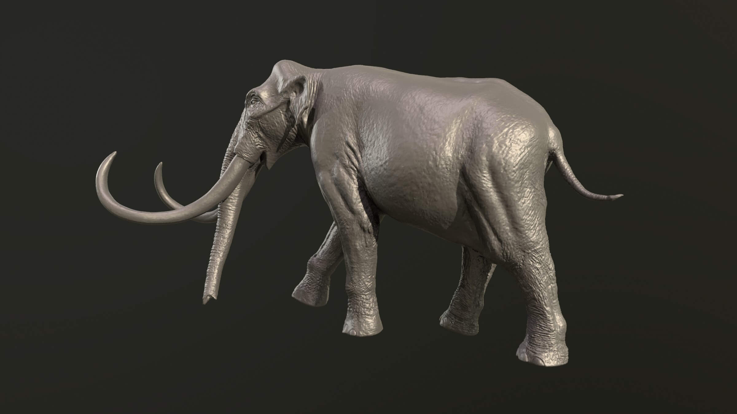Columbian Mammoth - 3D Model by Anthodon