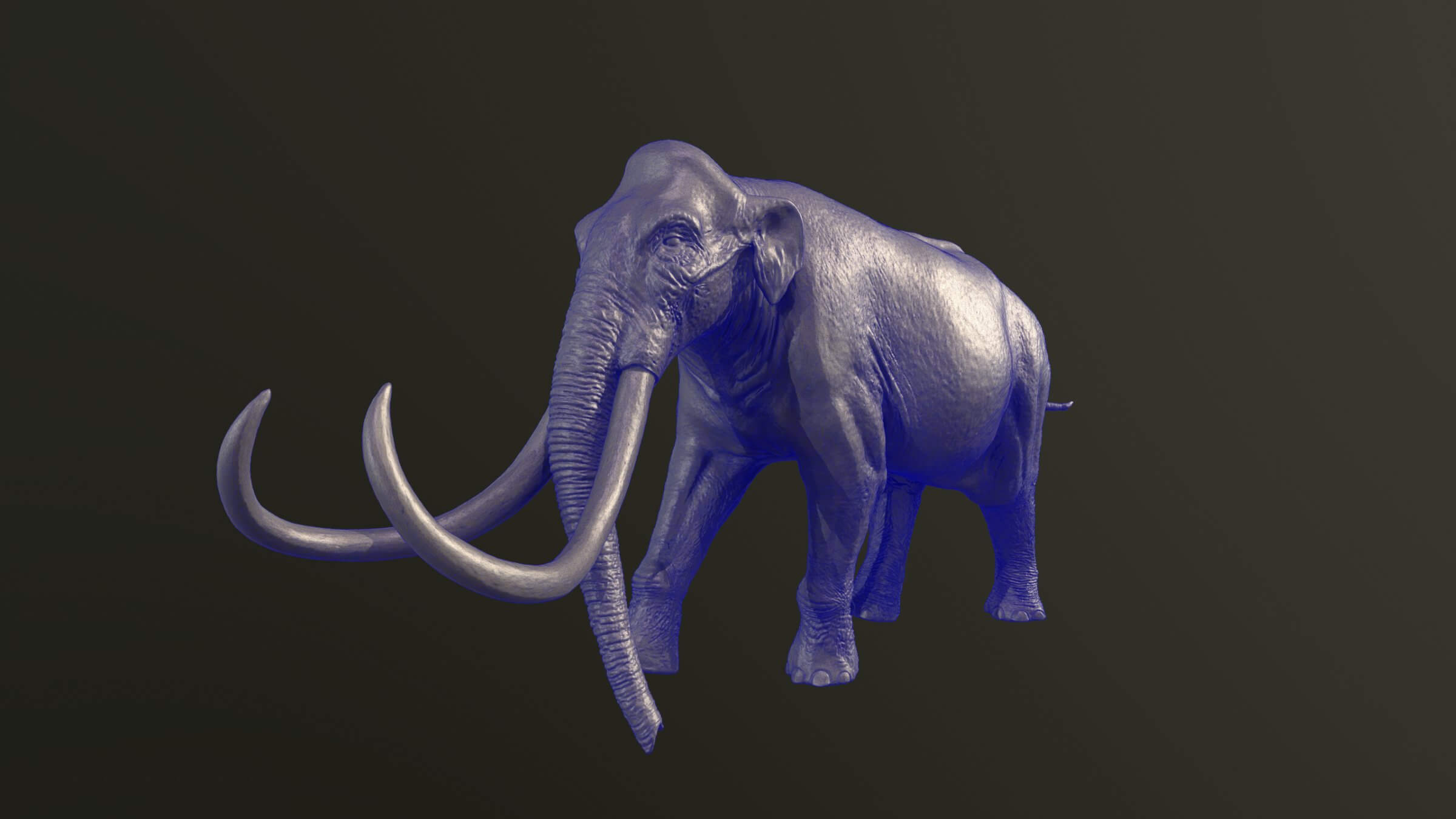 Columbian Mammoth - 3D Model by Anthodon