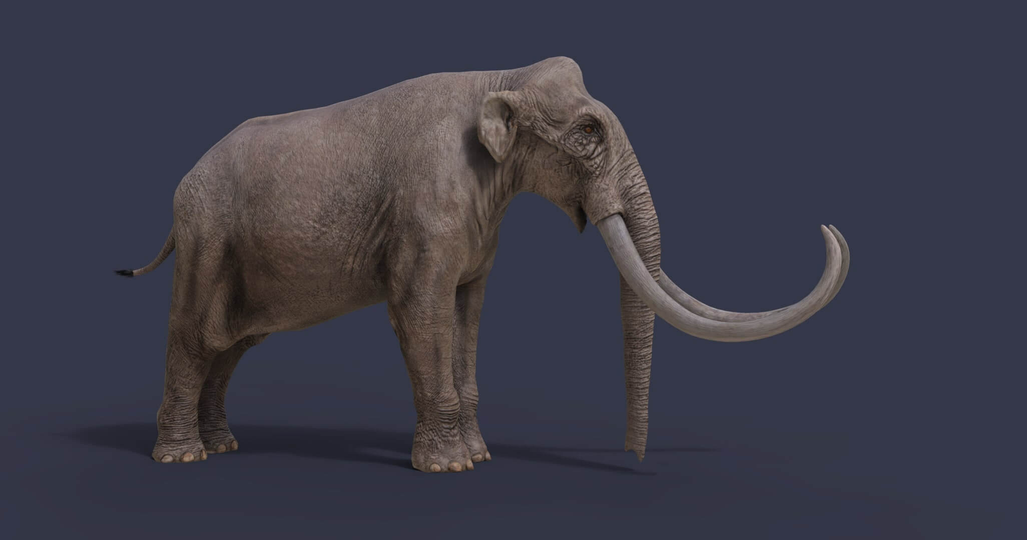 Extinct Animals Pack Version 18 - 3D Model by Anthodon